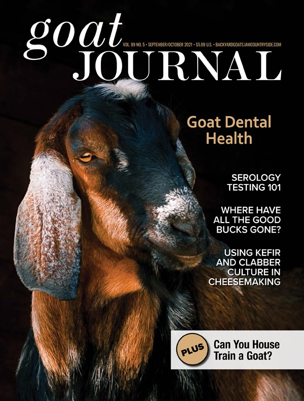 Enjoy a Free Goat Journal Sneak Peak! - Goat Journal